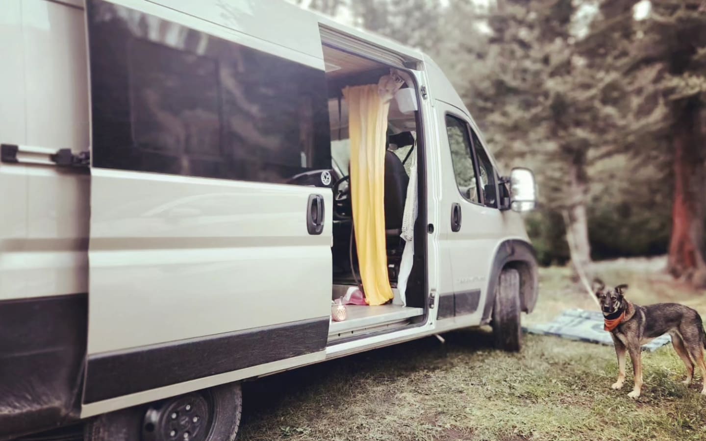 2024 Dave & Matt Vans | All-Season Colorado camper for Rent in Colorado ...