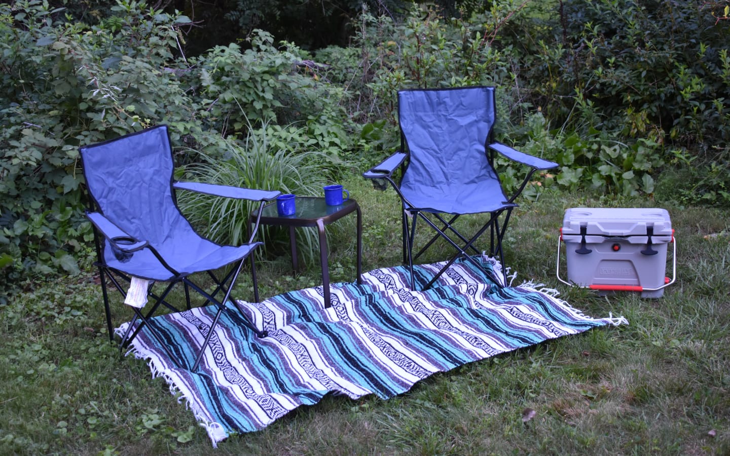 2019 Ford Transit Connect Campervan with Rooftop T for Rent in ...