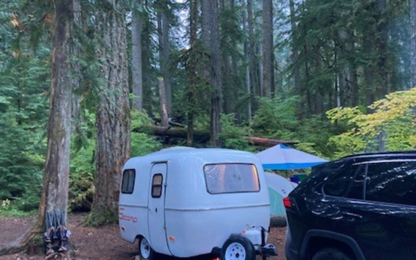 Scamp 13 in Kent! for Rent in Kent, Washington | 1200 lbs lbs, 13 ft
