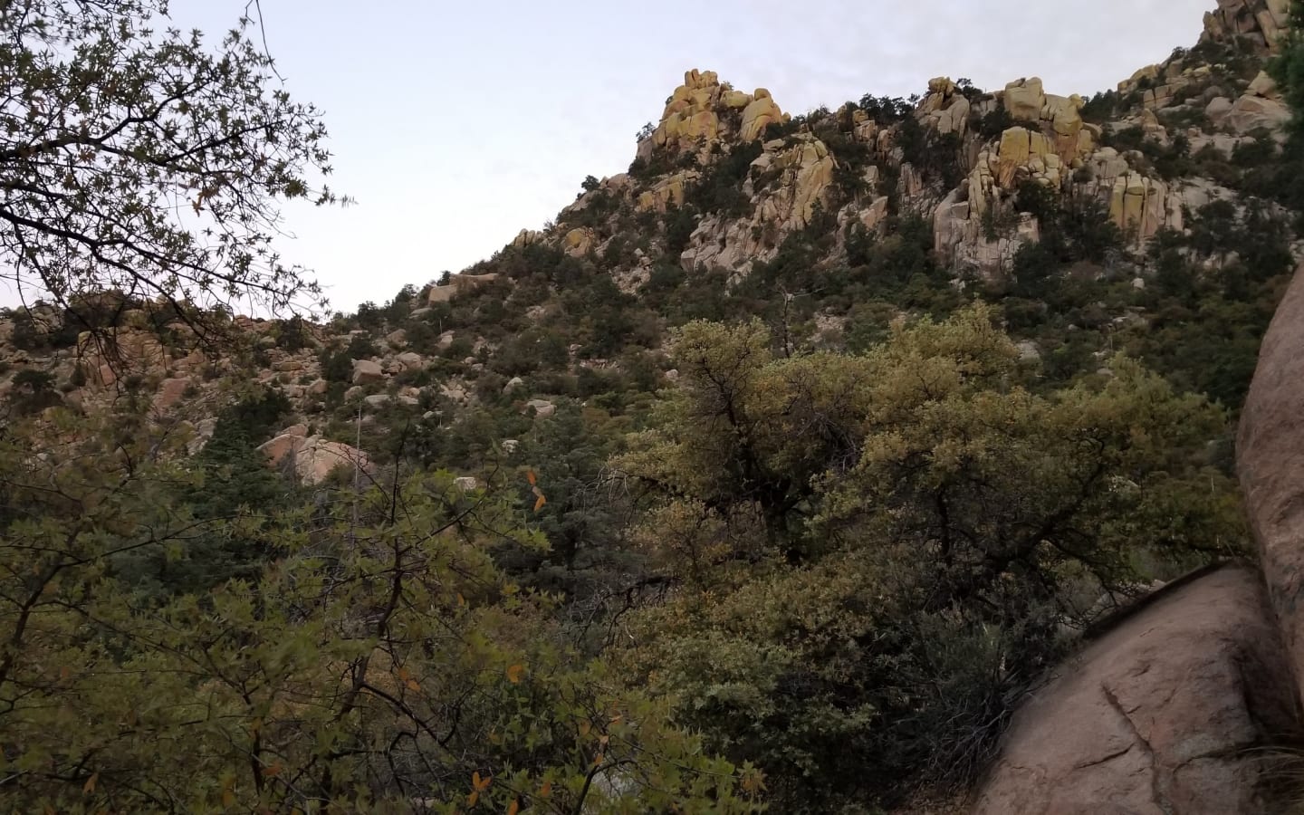 2024 4WD Winnebago REVEL "Judy" UNLIMITED MILES + for Rent in Las Vegas, Nevada