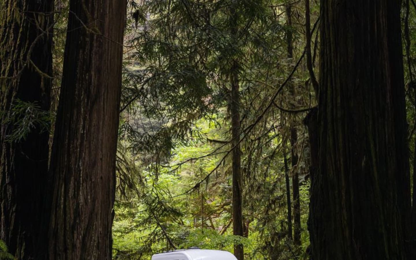 Diesel Heater & Starlink Wifi Capabilities Availab for Rent in ...