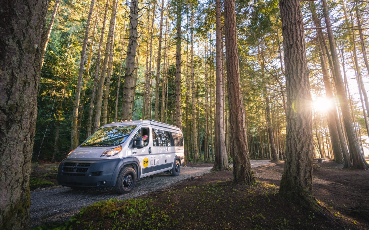 2019 Fully Electric Ram Pleasure-Way eTofino for Rent in Bainbridge ...